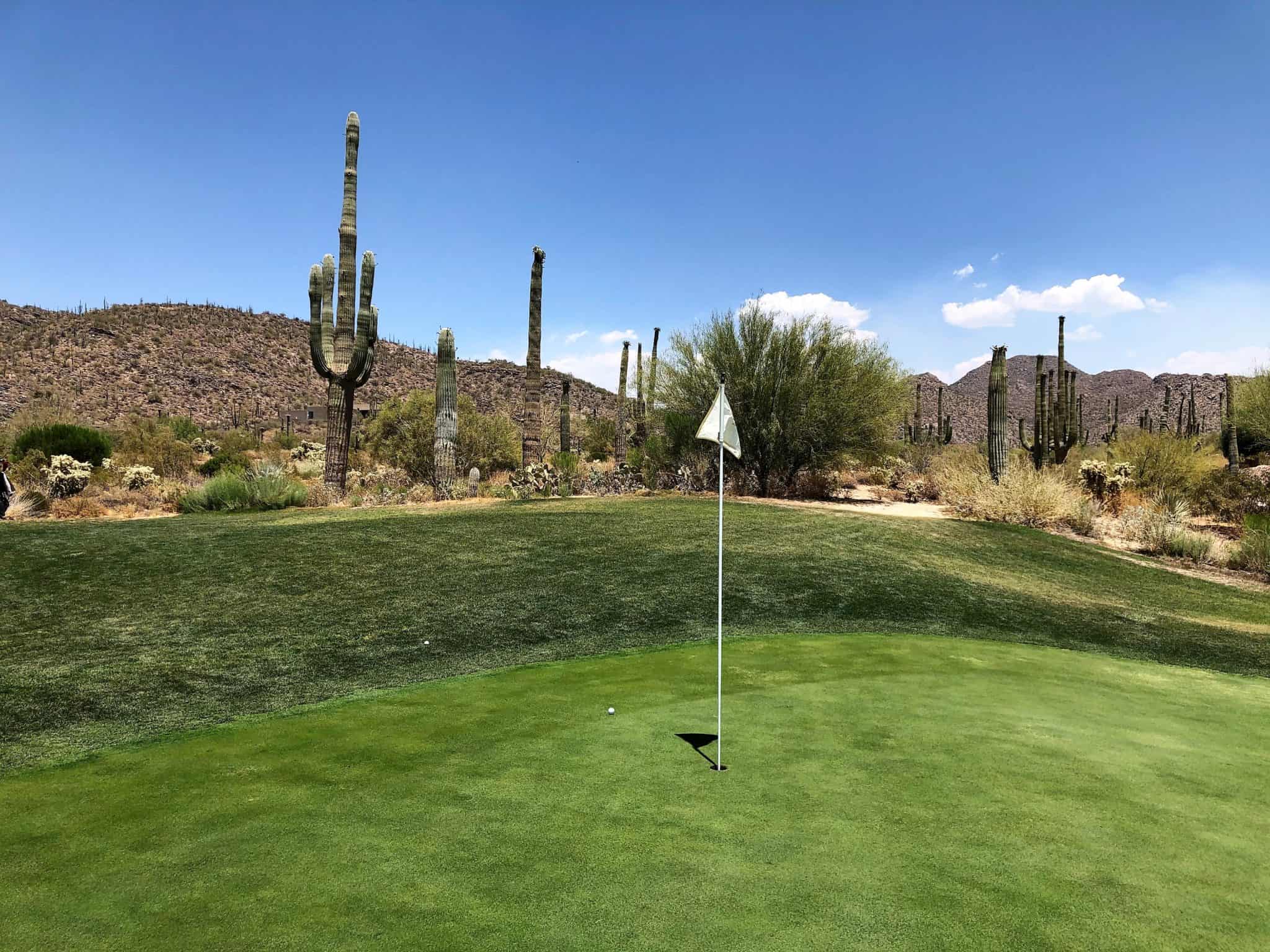 The Gallery Golf Club at Tucson: Everything You Should Know